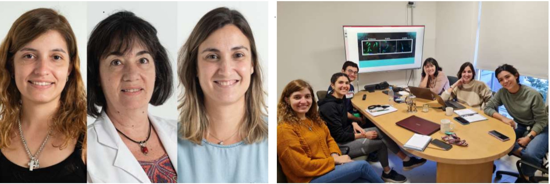 Transporte intracelular de proteínas y homeostasis celular – Facultad ...